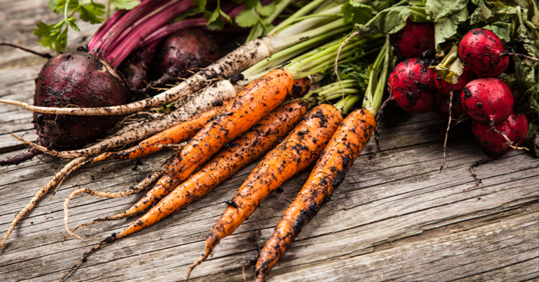 Mother Nature | Best Cold Weather Veggies for Winter Harvest