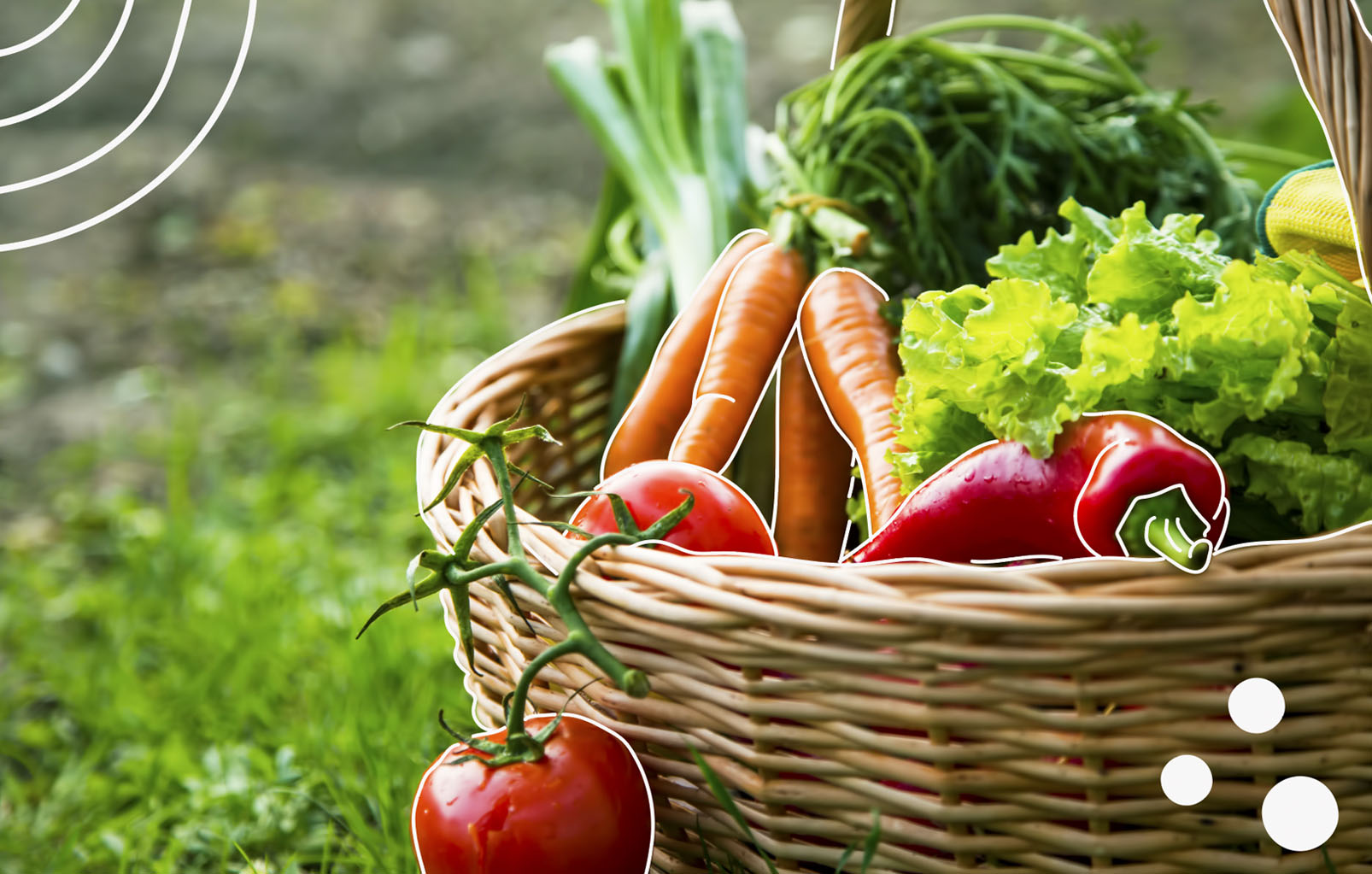 Fresh Garden Vegetables