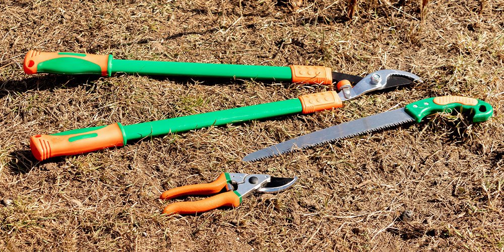 Mother Nature Garden Centre-Powell River-Early Spring Pruning Guide ...