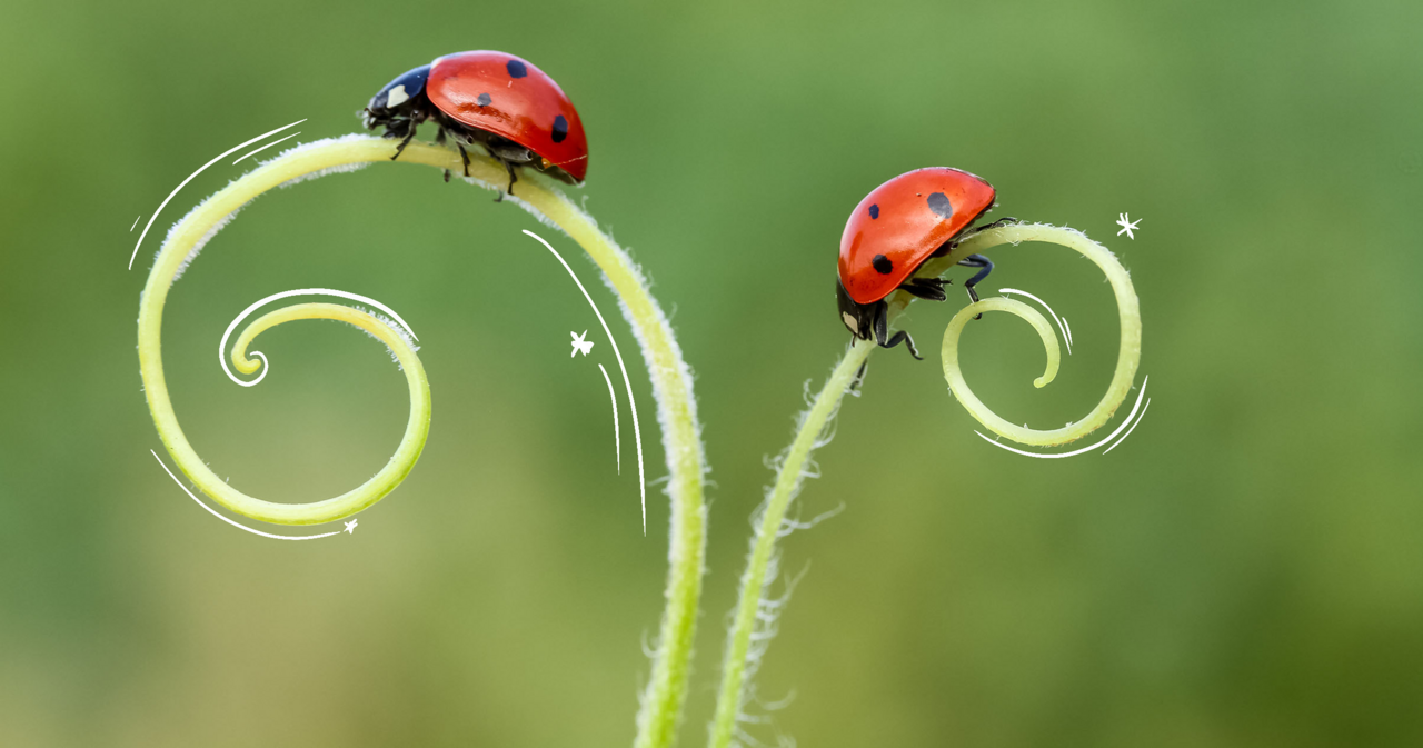 Mother Nature | Garden Centre