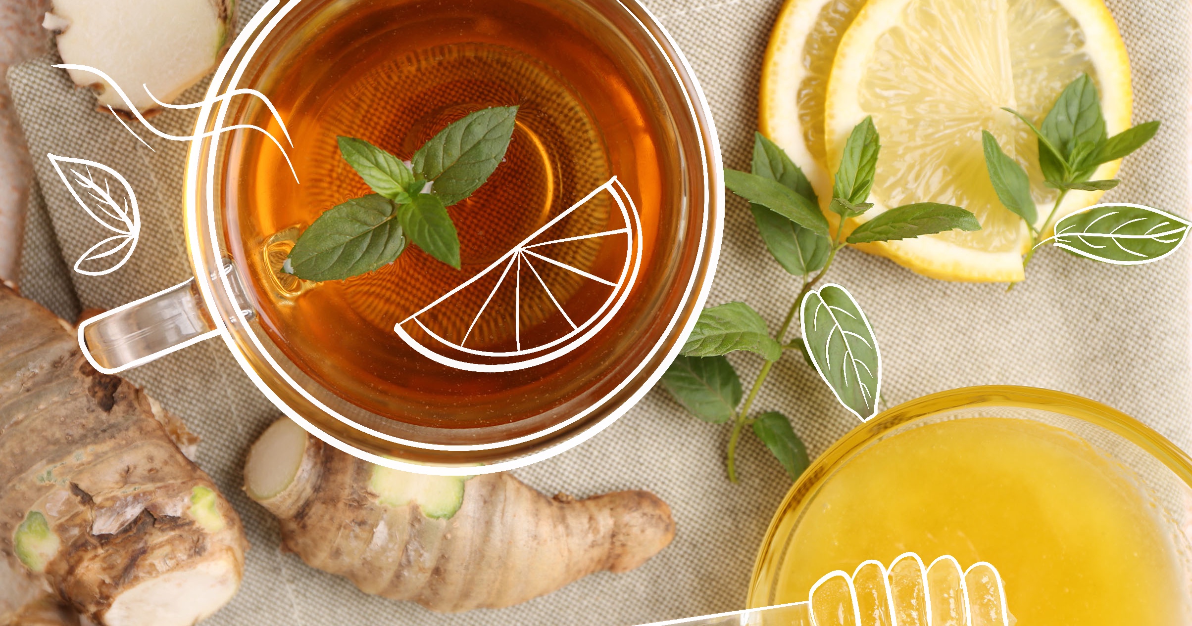 Homegrown Herbals: How to Grow Your Own Tea in Powell River — Mother Nature