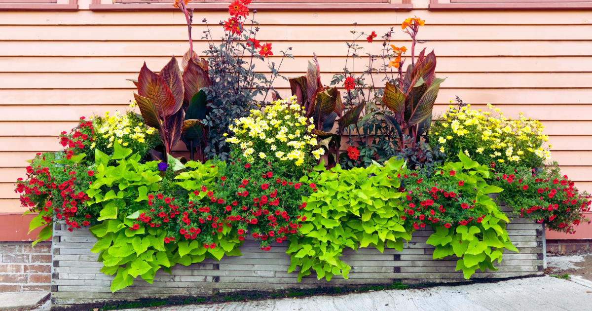 The Versatility of The Container Garden